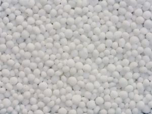 Urea baja en sangre: ¿Qué significa? • DiarioCrónicas